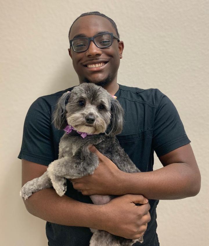 Experienced Veterinarians | Animal Hospital in Waller